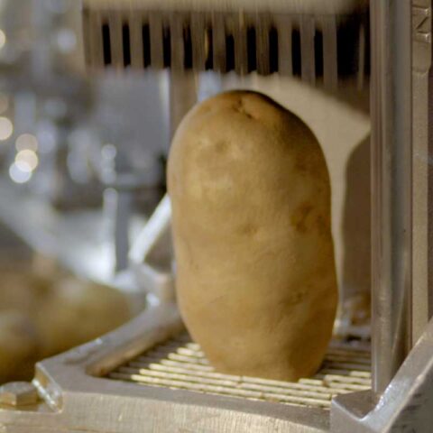 About Us - P. Terry's